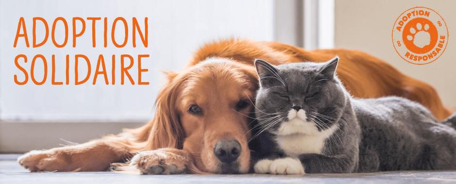 APA: Association Protection Animalière Accueil